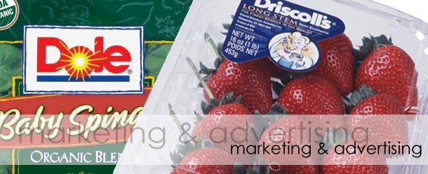 Fresh Produce Marketing and Advertising